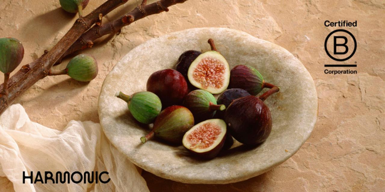 Harmonic Finance & Operations — The Advantages of Joining the B Corp ...